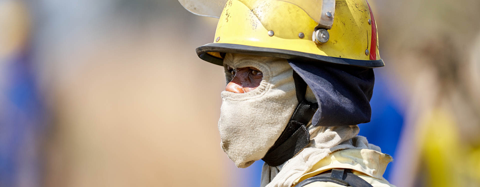 About Working on Fire • Working on Fire