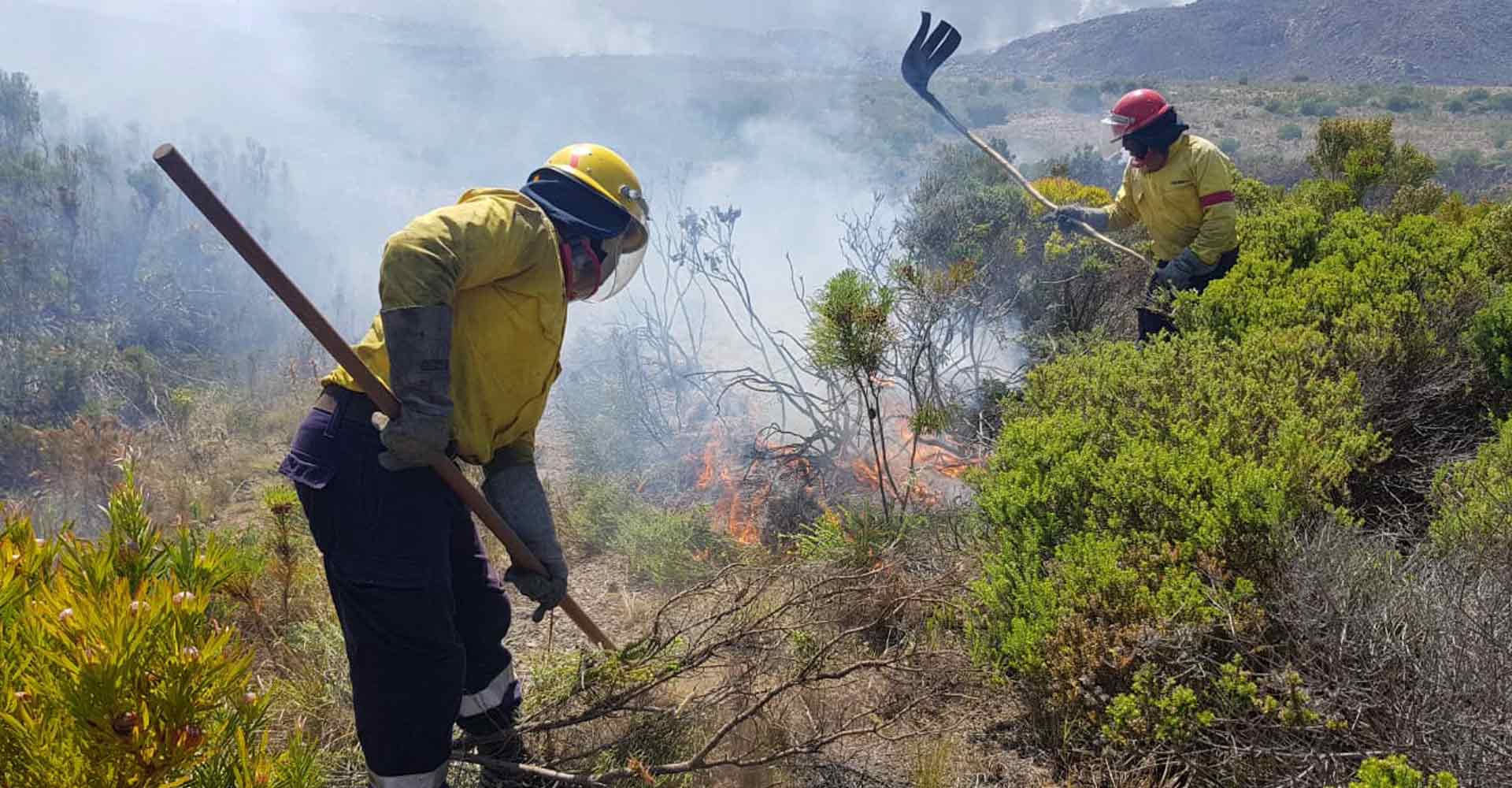 Firefighters kept busy by high fire activity in the Cape this Summer ...