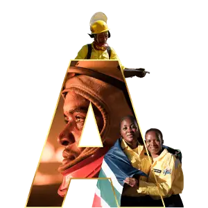 Home – Working on Fire